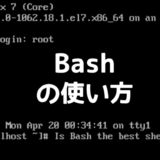 bashでコマンドを複数、連続で実行！コマンド制御について | .LOG